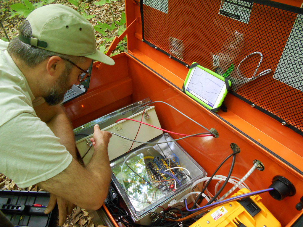 Shorelines » Blog Archive Surprising Tree Emissions Show Forests ...